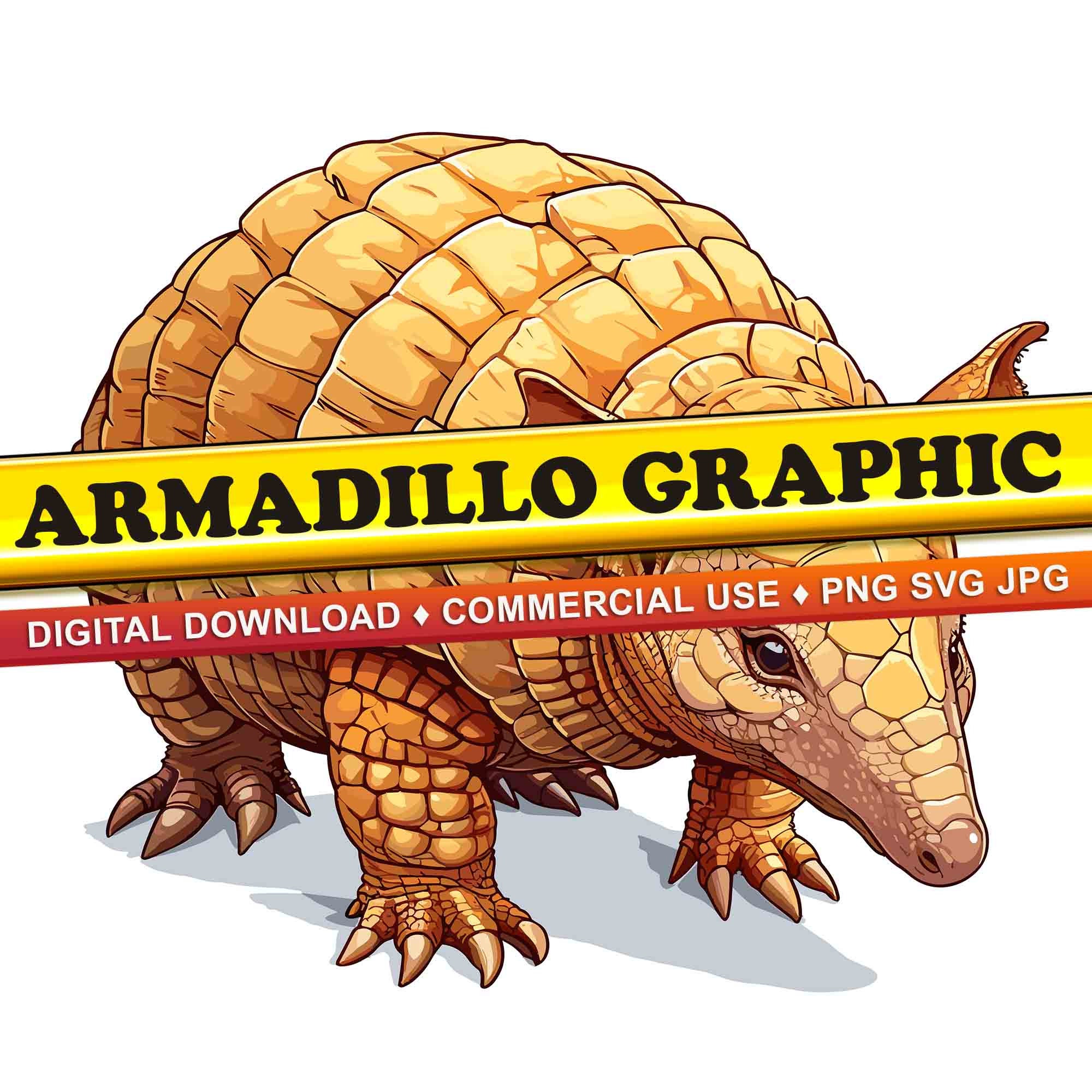 Armadillo Clipart Image PNG SVG JPG Commercial License Digital File ...