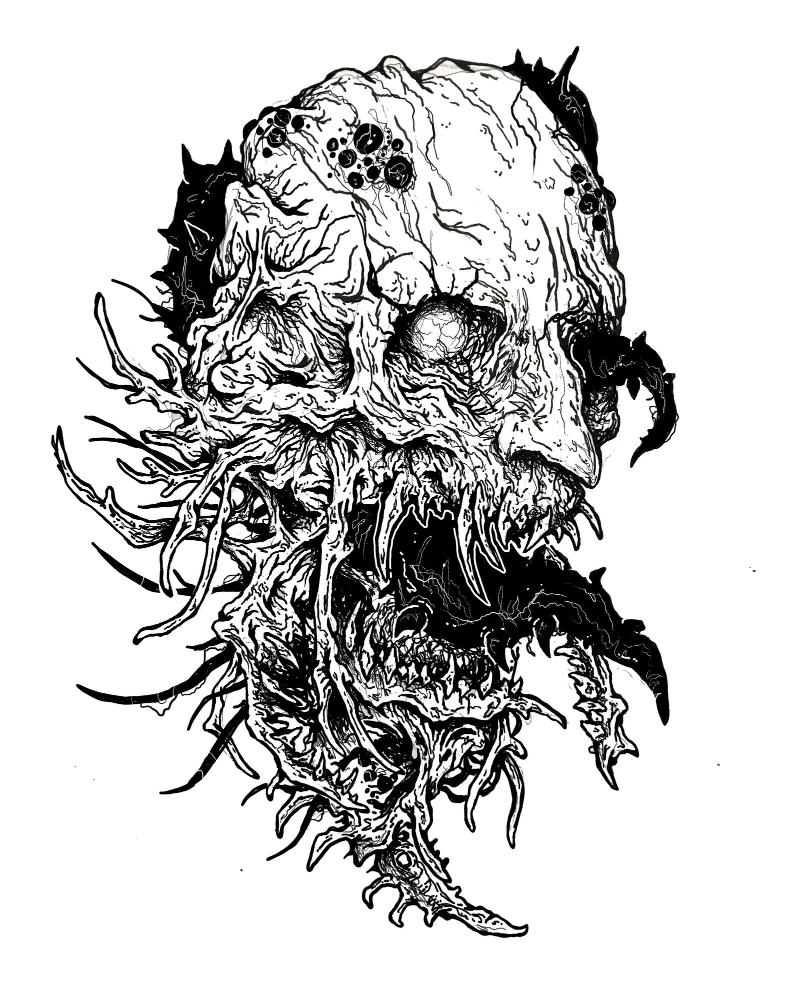 Dried Specimen Print - Etsy