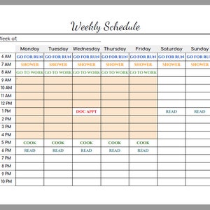 Weekly Schedule Editable PDF Hourly Schedule Printable Instant Download ...