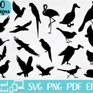Birds SVG Birds Bundle Svg Birds Silhouette Bird Svg | Etsy