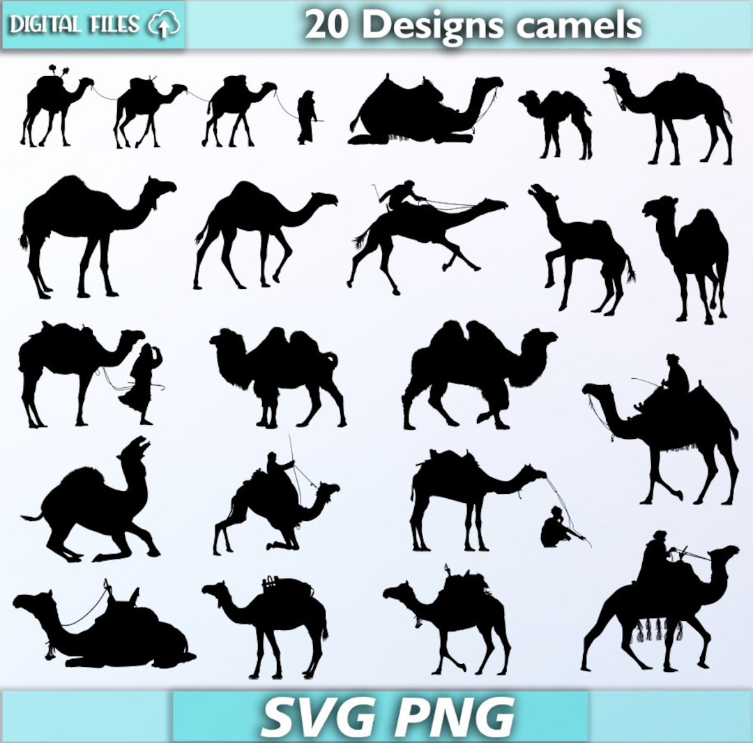 Camels Bundle Svg/ Camel Svg/ Animal Svg/ Camel Silhouette/ Camels ...