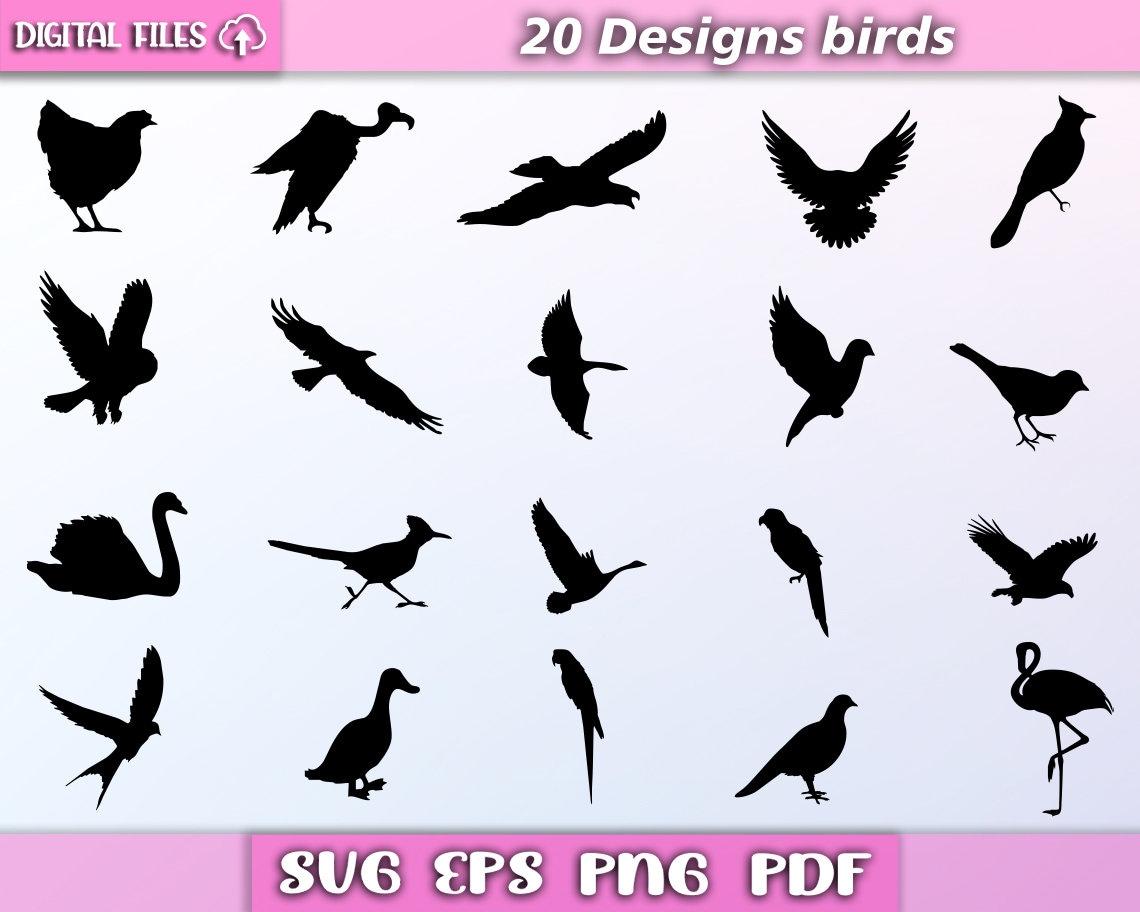 Birds Svg/ Birds Bundle Svg/ Birds Silhouette/ Bird Svg/ Vector Bird ...