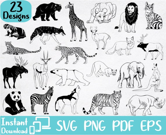 Animals SVG Wild Animals Svg African Animals Svg Zoo - Etsy
