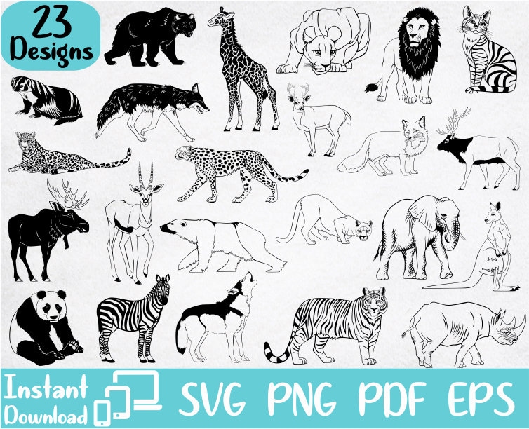 Animals SVG Wild Animals Svg African Animals Svg Zoo - Etsy