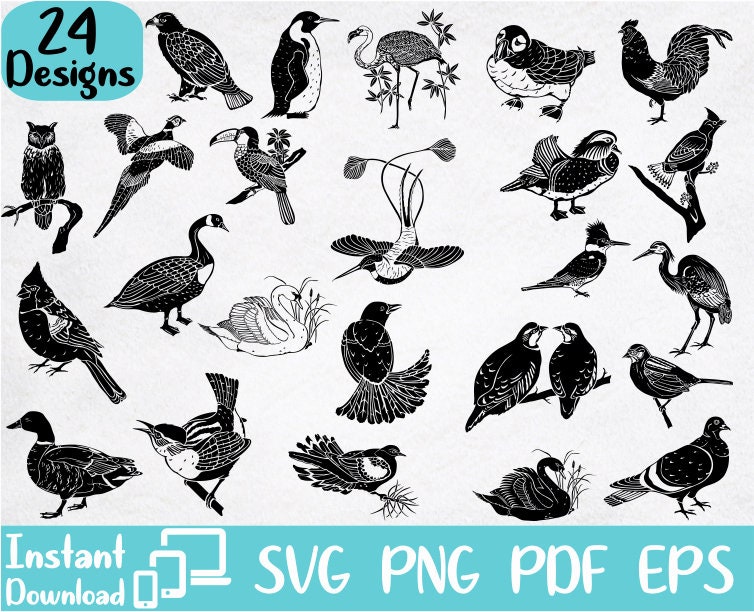 Vögel SVG Vogel SVG Vogel SVG Vogel Silhouette Vogel | Etsy