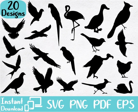 Birds SVG Birds Bundle Svg Birds Silhouette Bird Svg | Etsy