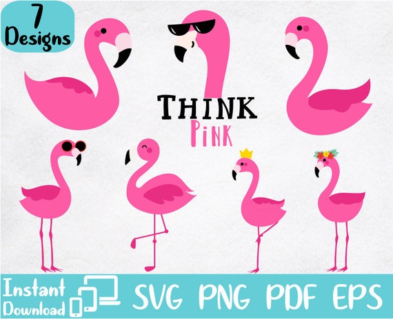 Flamingos Svg Flamingo Svg Flamingo Clipart Pink Svg - Etsy