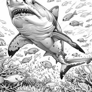32 Sharks Coloring Pages for Adults & Kids | Printable Ocean Predator ...