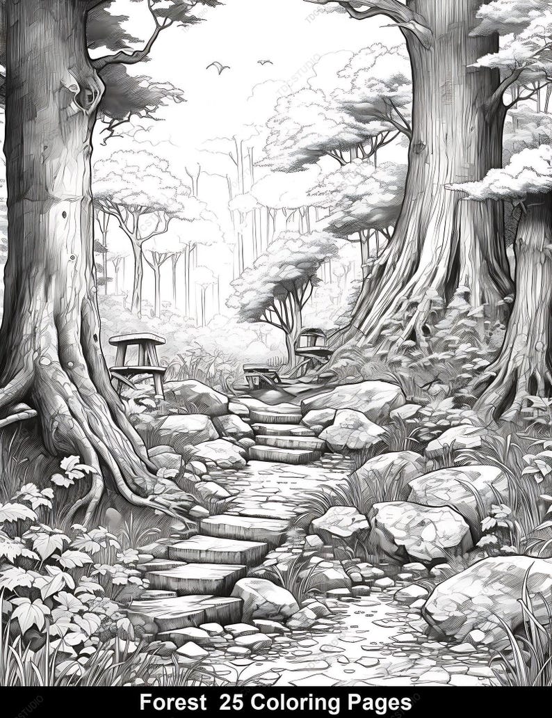 25 Forest Coloring Pages for Adults | Forest, Deer, Woodland, Trees ...