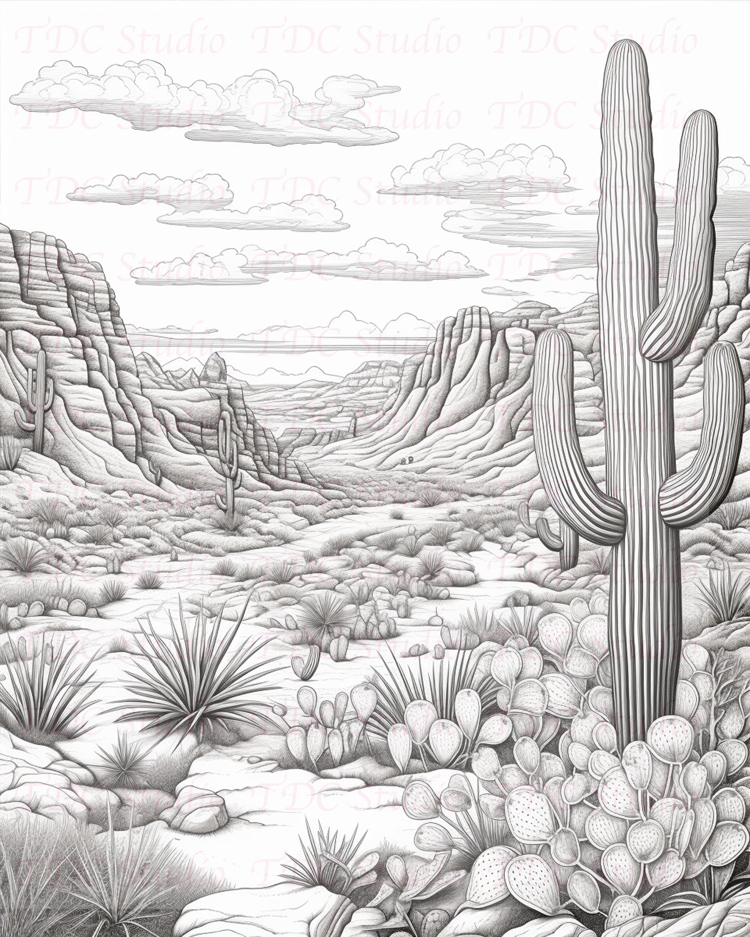 50+ Nature Coloring Pages Scenic Pages | Mountains, Beaches, Forests ...