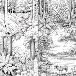 25 Forest Coloring Pages for Adults | Forest, Deer, Woodland, Trees ...