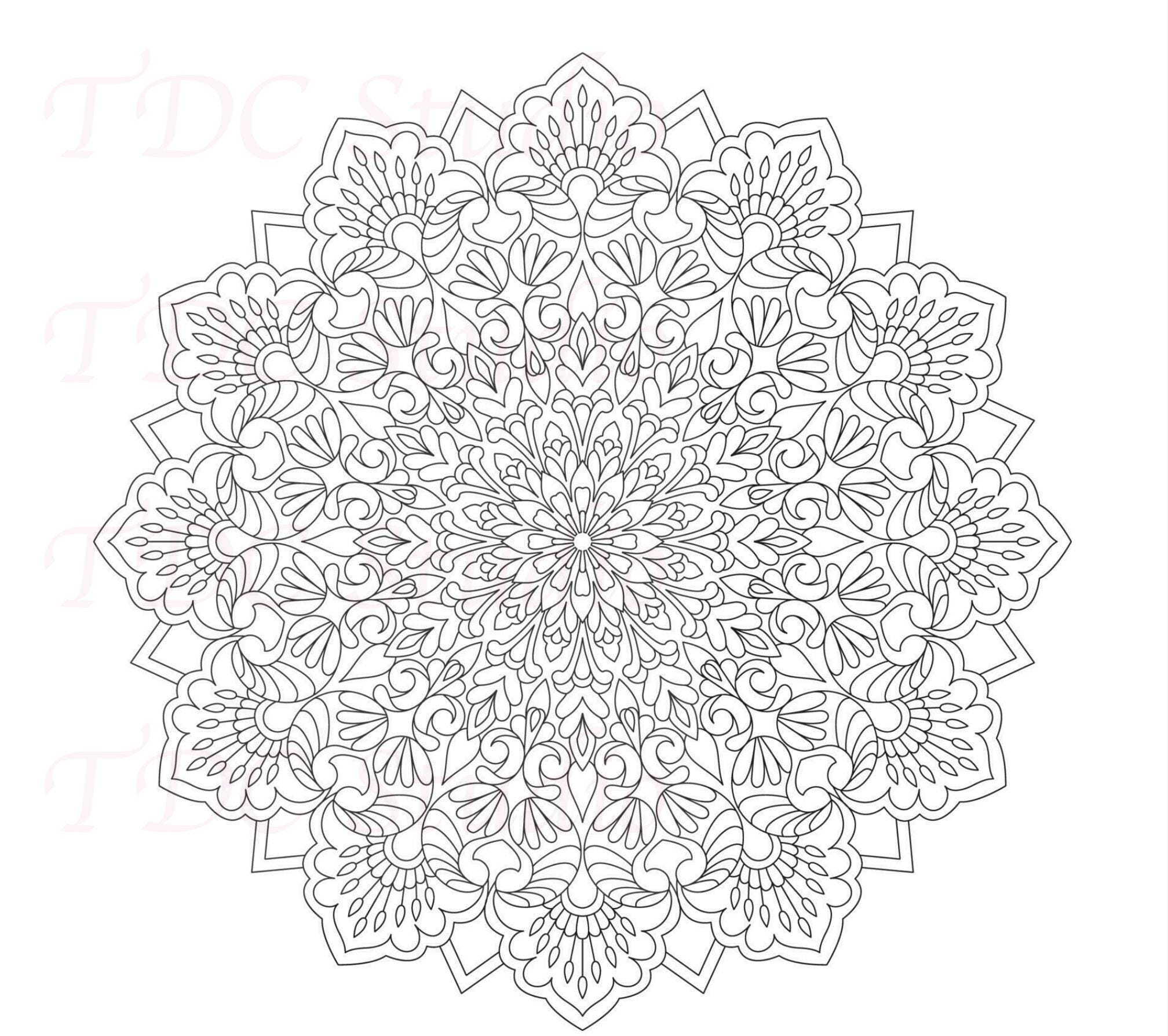120+ Mandala Coloring Pages Vol 1 | Printable & Digital Mandala ...