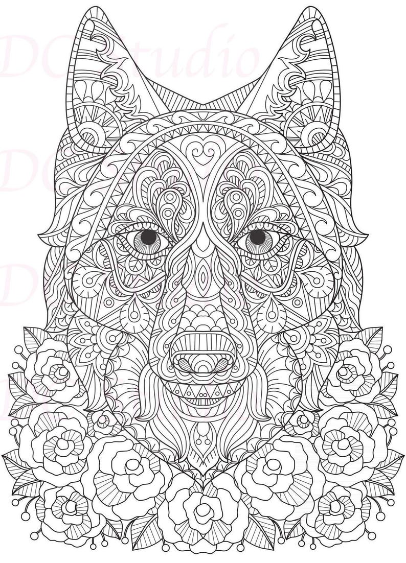 200 Animal Nature Mandala Coloring Pages Printable Coloring for Adults ...