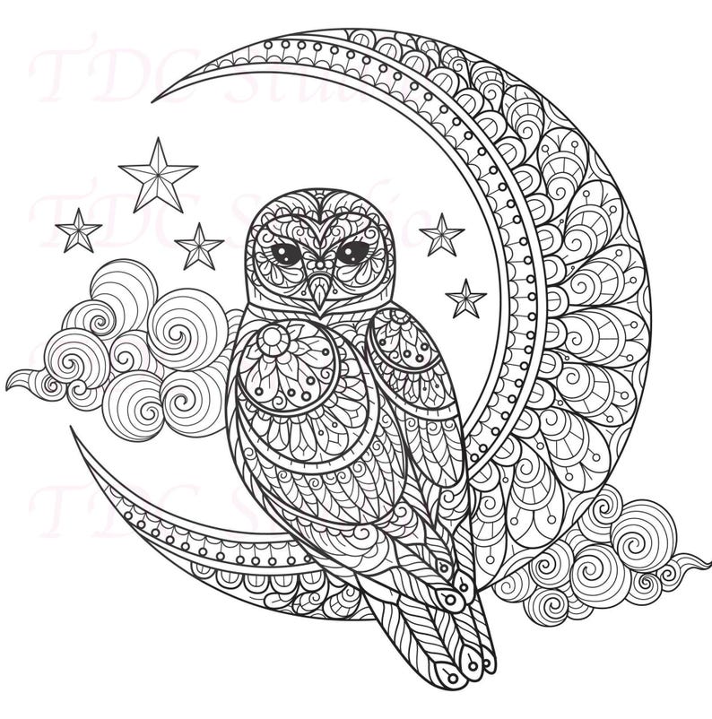 200 Animal Nature Mandala Coloring Pages Printable Coloring for Adults ...