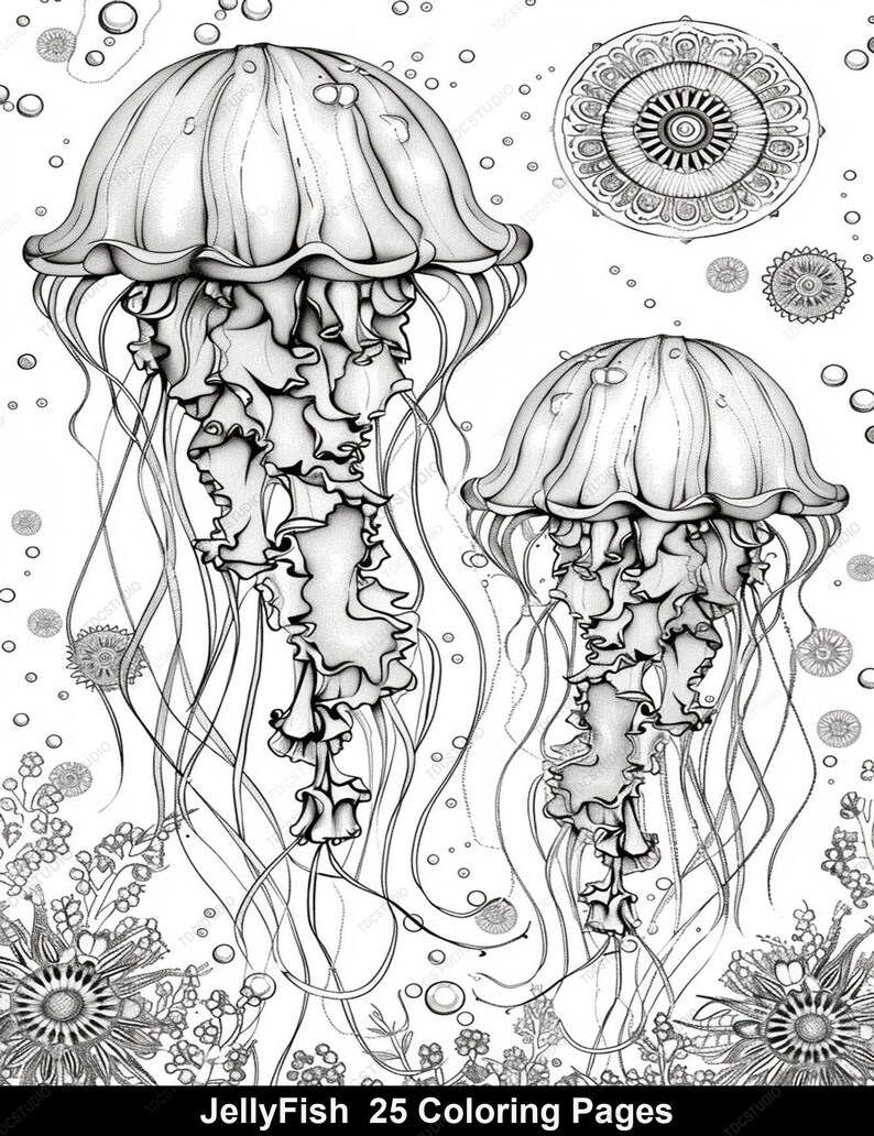Jellyfish Coloring Book | 25 Fantasy Ocean Art Pages (PDF) - Etsy