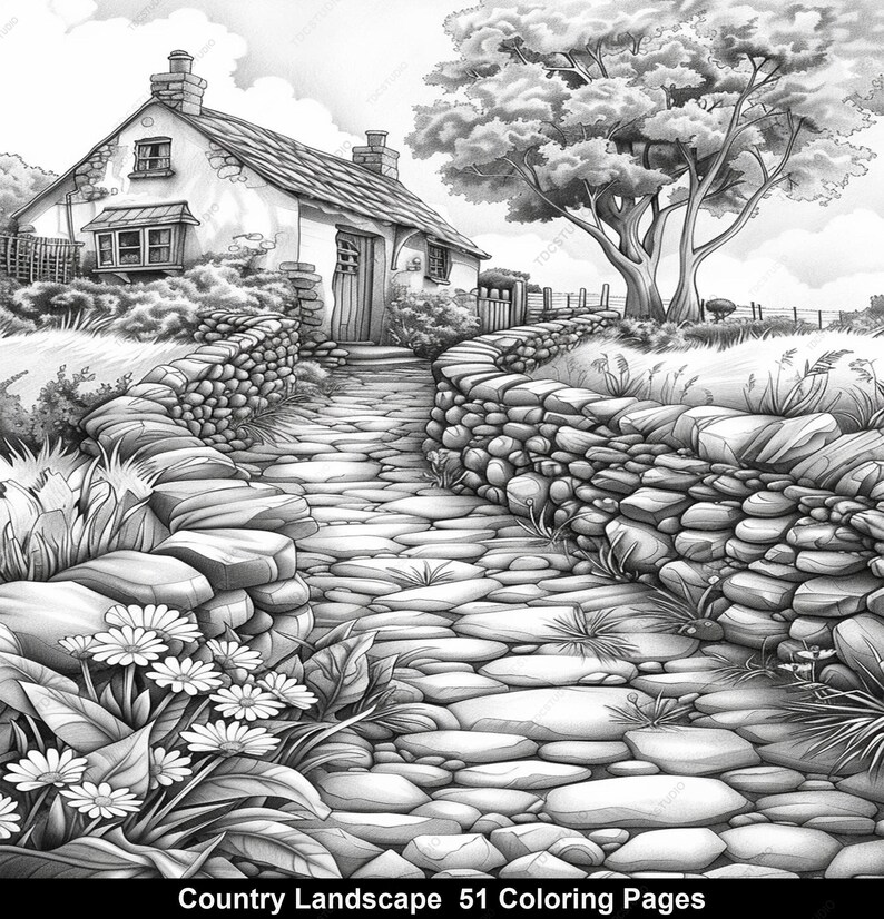 51 Country Landscape Coloring Pages Country Scenes | A4 PDF & JPG ...