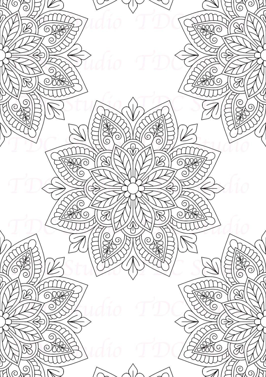 Advanced Mandala Coloring Pages Vol 3 120+ Intricate Mandala Coloring ...