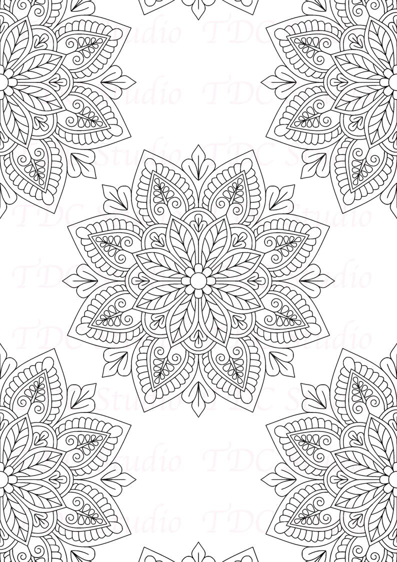 Advanced Mandala Coloring Pages Vol 3 120+ Intricate Mandala Coloring ...