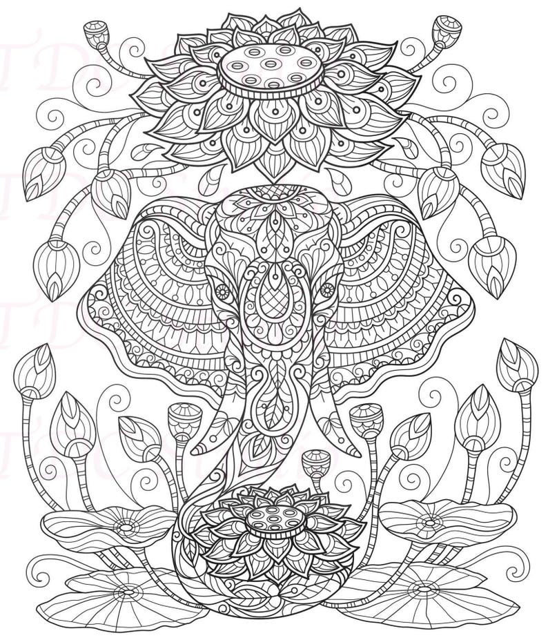 200 Animal Nature Mandala Coloring Pages Printable Coloring for Adults ...