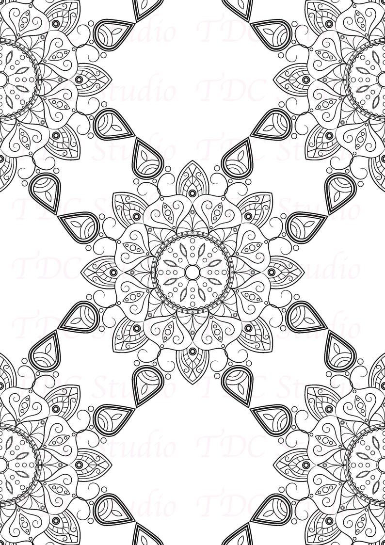 Advanced Mandala Coloring Pages Vol 3 120+ Intricate Mandala Coloring ...