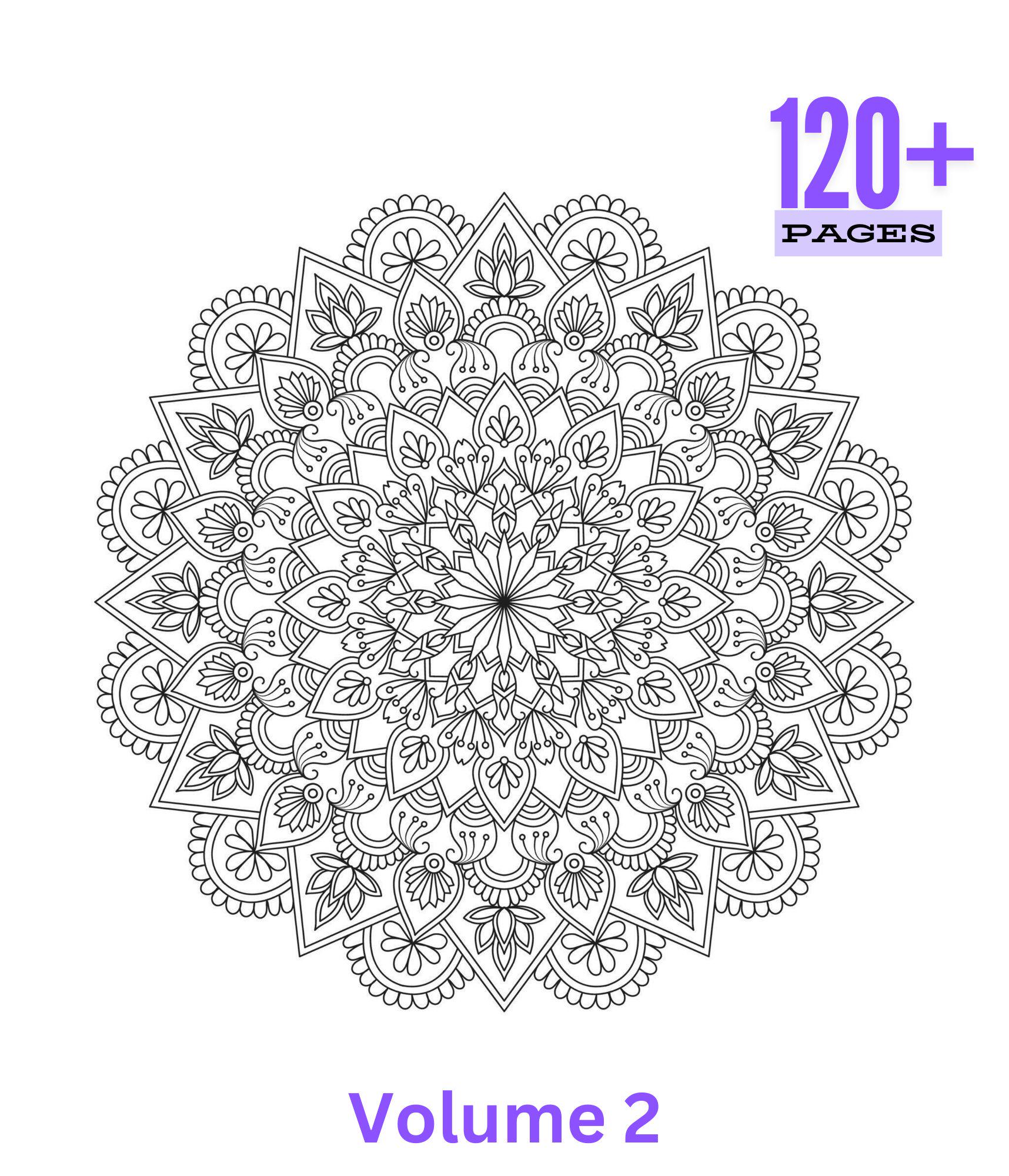 120+ Mandala Coloring Pages Vol 2 Intricate Designs for Mindfulness ...