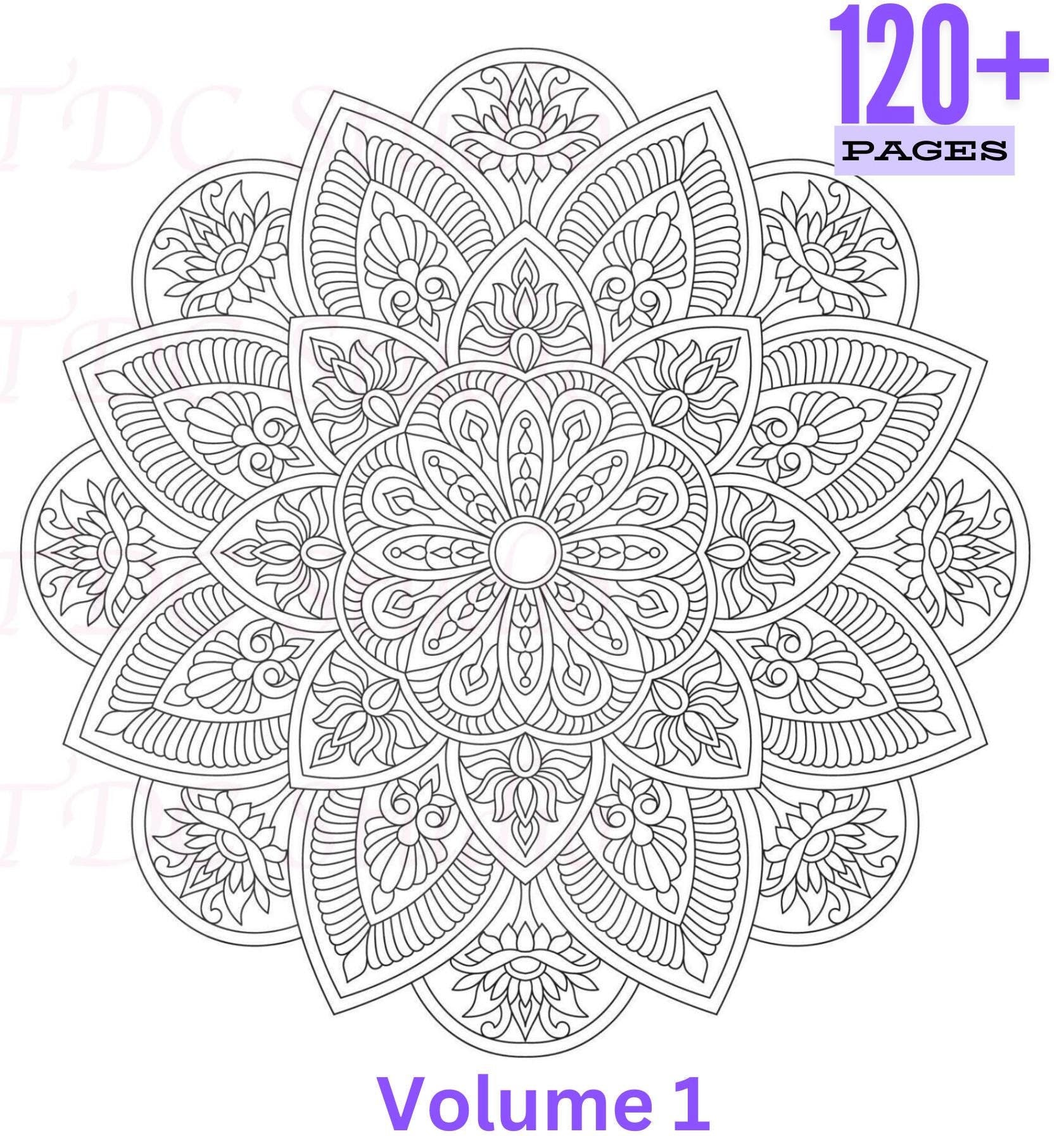 120+ Mandala Coloring Pages Vol 1 | Printable & Digital Mandala ...
