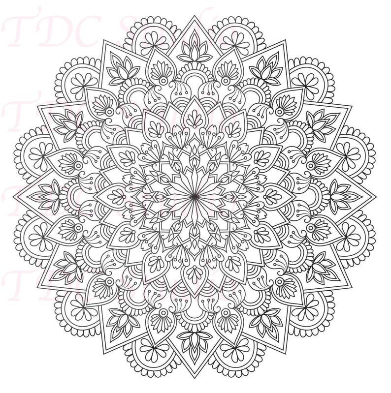 120+ Mandala Coloring Book Vol. 2 Intricate Designs for Mindfulness ...