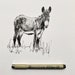 Mule | Animal Drawing Wall Art | Art of Zoo | Animal Art Print ...