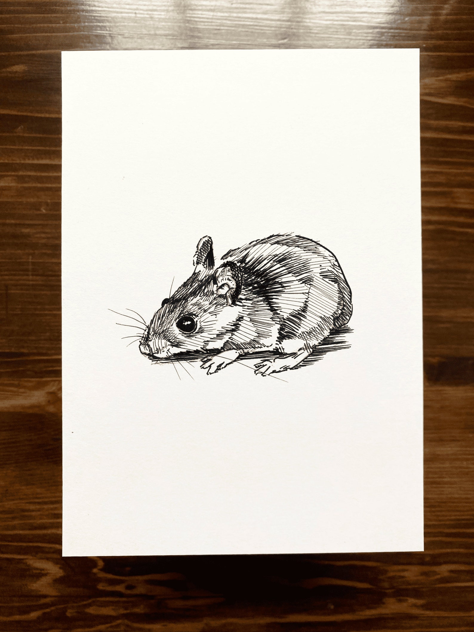 Wood Mouse | Animal Drawing Wall Art | Art of Zoo | Animal Art Print ...