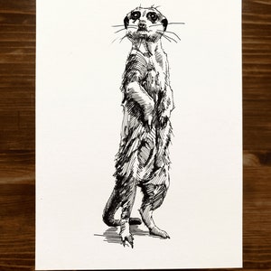 Meerkat | Animal Drawing Wall Art | Art of Zoo | Animal Art Print ...