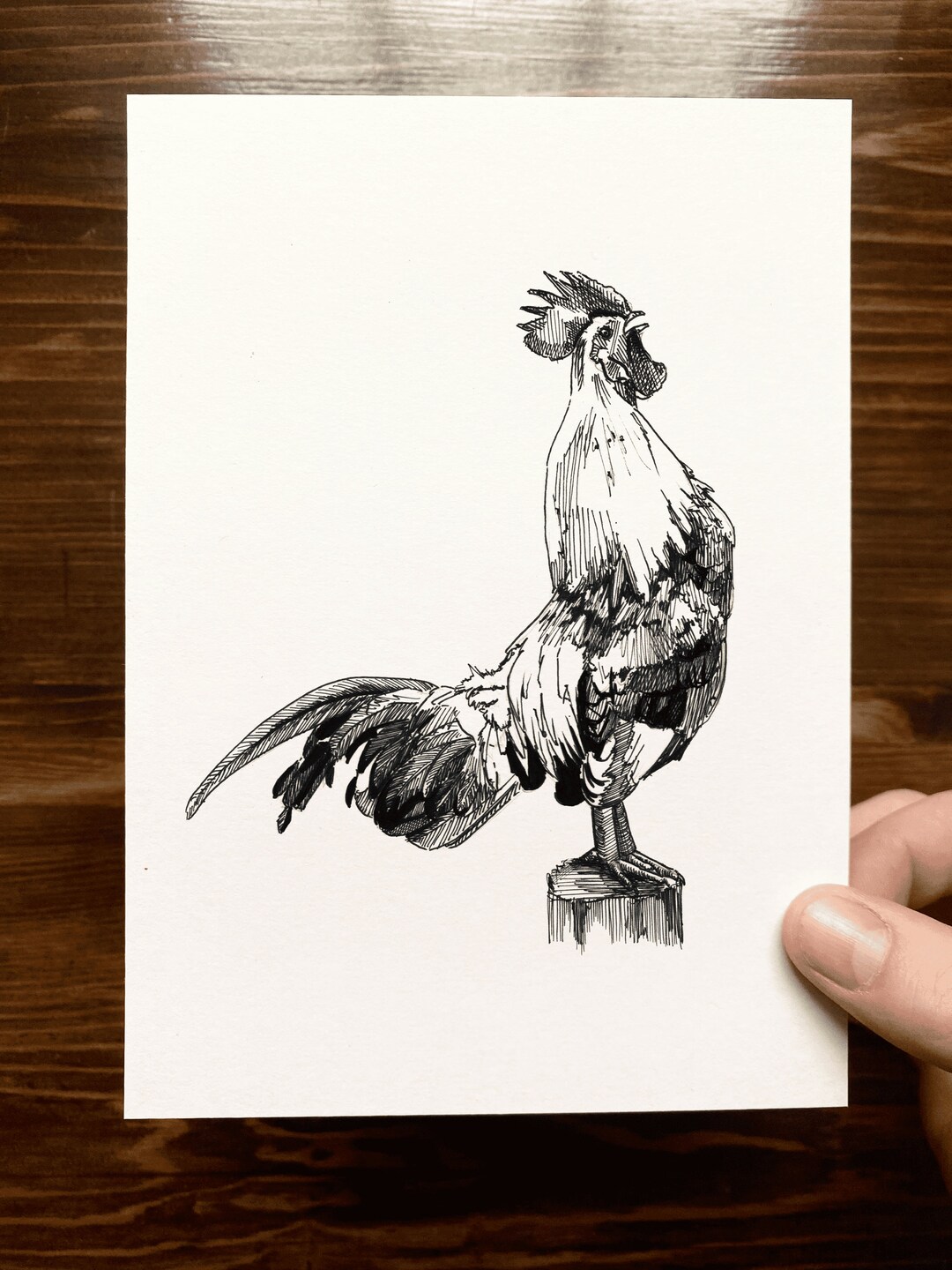 Rooster | Animal Drawing Wall Art | Art of Zoo | Animal Art Print ...