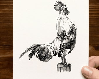 Fat Little Chicken Sketch Illustration 8.5 X 11 Black and - Etsy