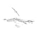 Albatross | Animal Drawing Wall Art | Art of Zoo | Animal Art Print ...