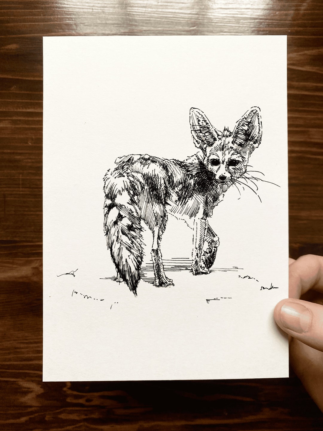 Fennic Fox | Animal Drawing Wall Art | Art of Zoo | Animal Art Print ...