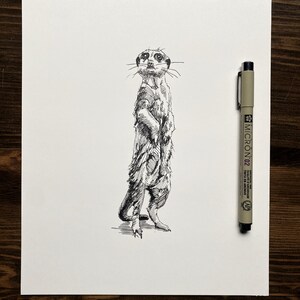Meerkat | Animal Drawing Wall Art | Art of Zoo | Animal Art Print ...