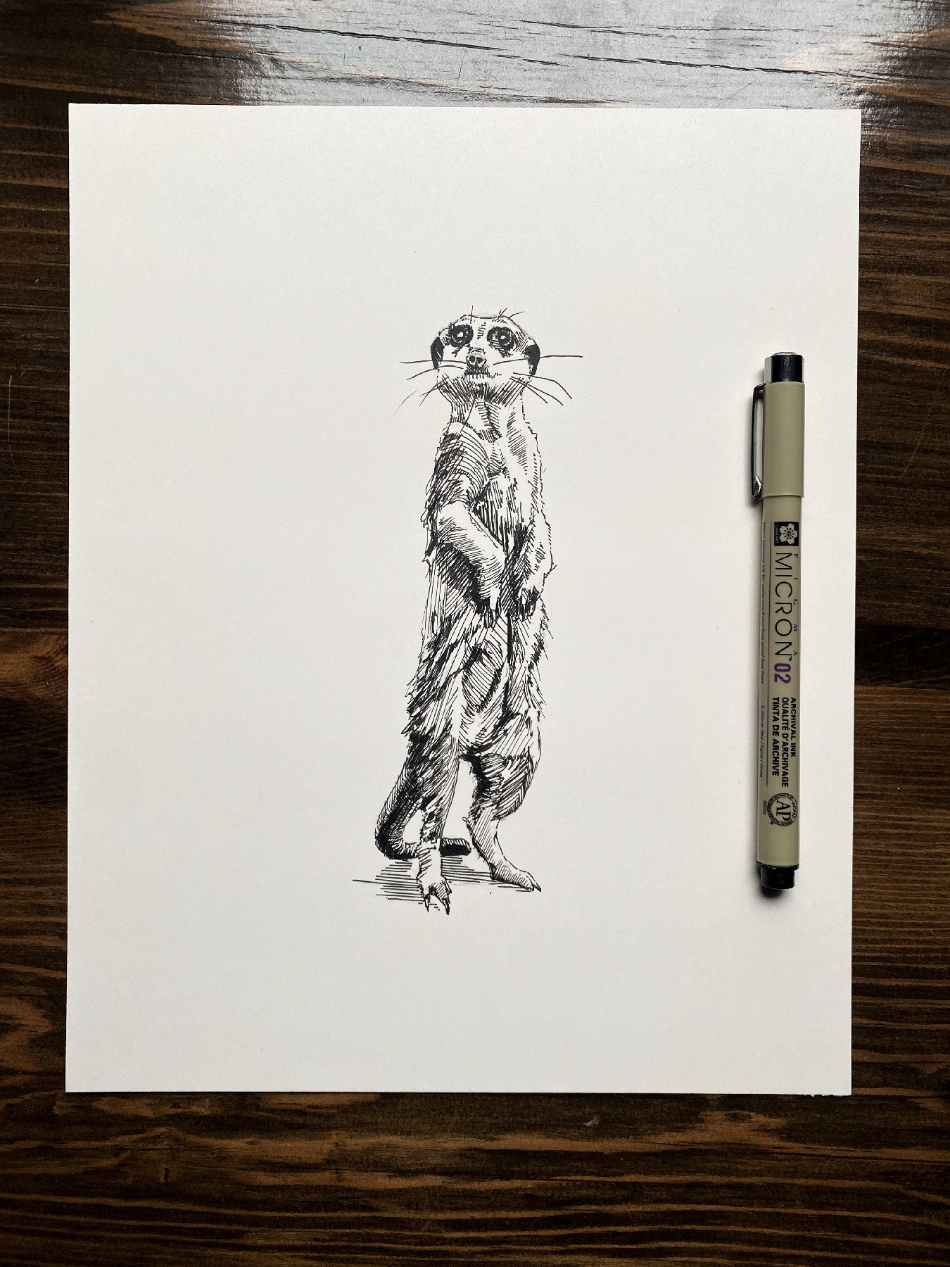 Meerkat | Animal Drawing Wall Art | Art of Zoo | Animal Art Print ...