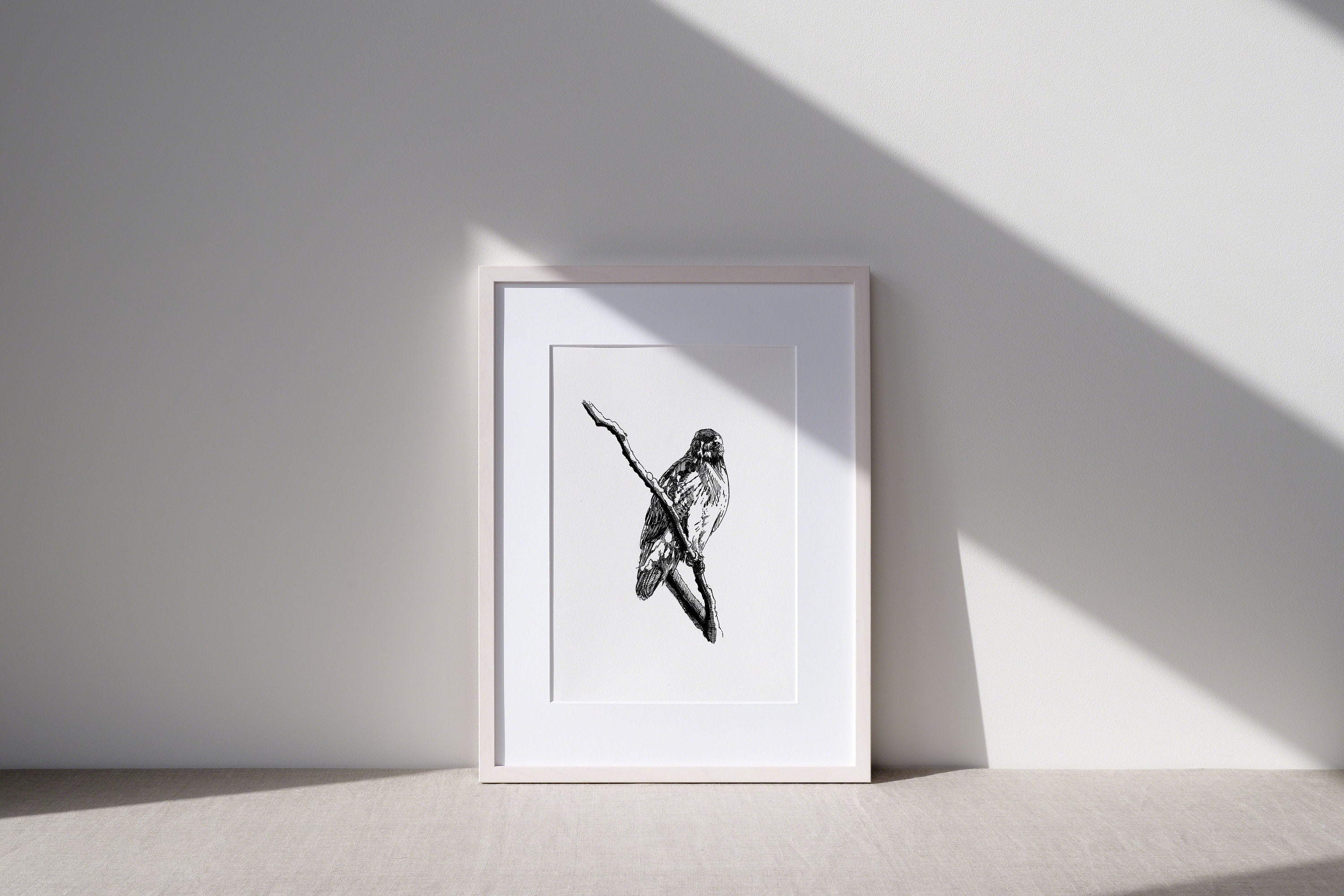 Hawk | Animal Drawing Wall Art | Art of Zoo | Animal Art Print ...