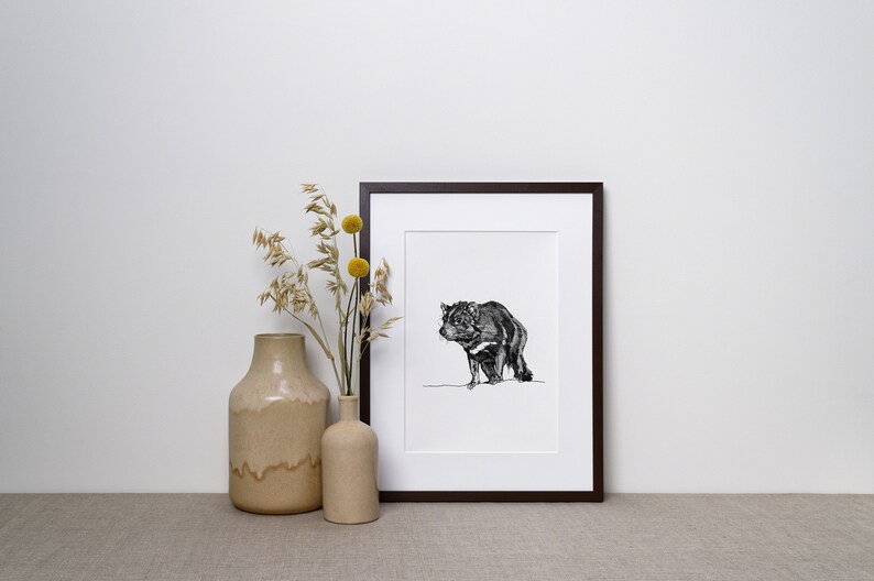 Tasmanian Devil | Animal Drawing Wall Art | Art of Zoo | Animal Art ...