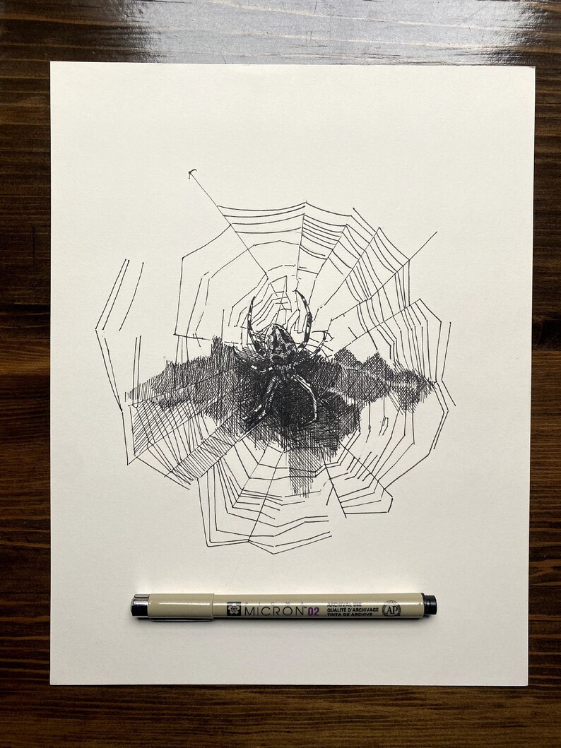 Orb Weaver Spider | Animal Drawing Wall Art | Art of Zoo | Animal Art ...
