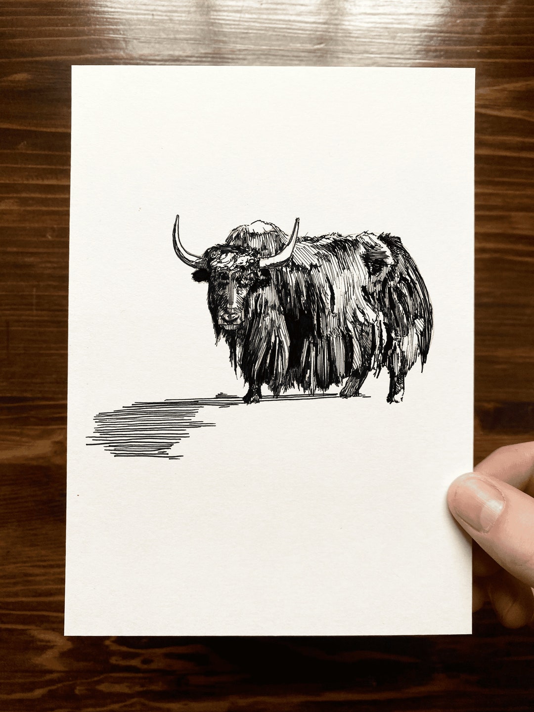 Yak | Animal Drawing Wall Art | Art of Zoo | Animal Art Print | Various ...