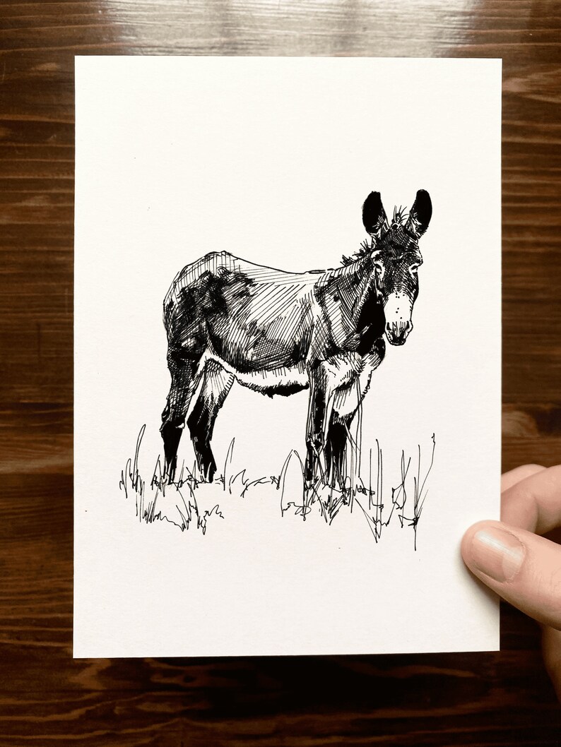 Mule Animal Drawing Wall Art Art of Zoo Animal Art Print Various Sizes ...