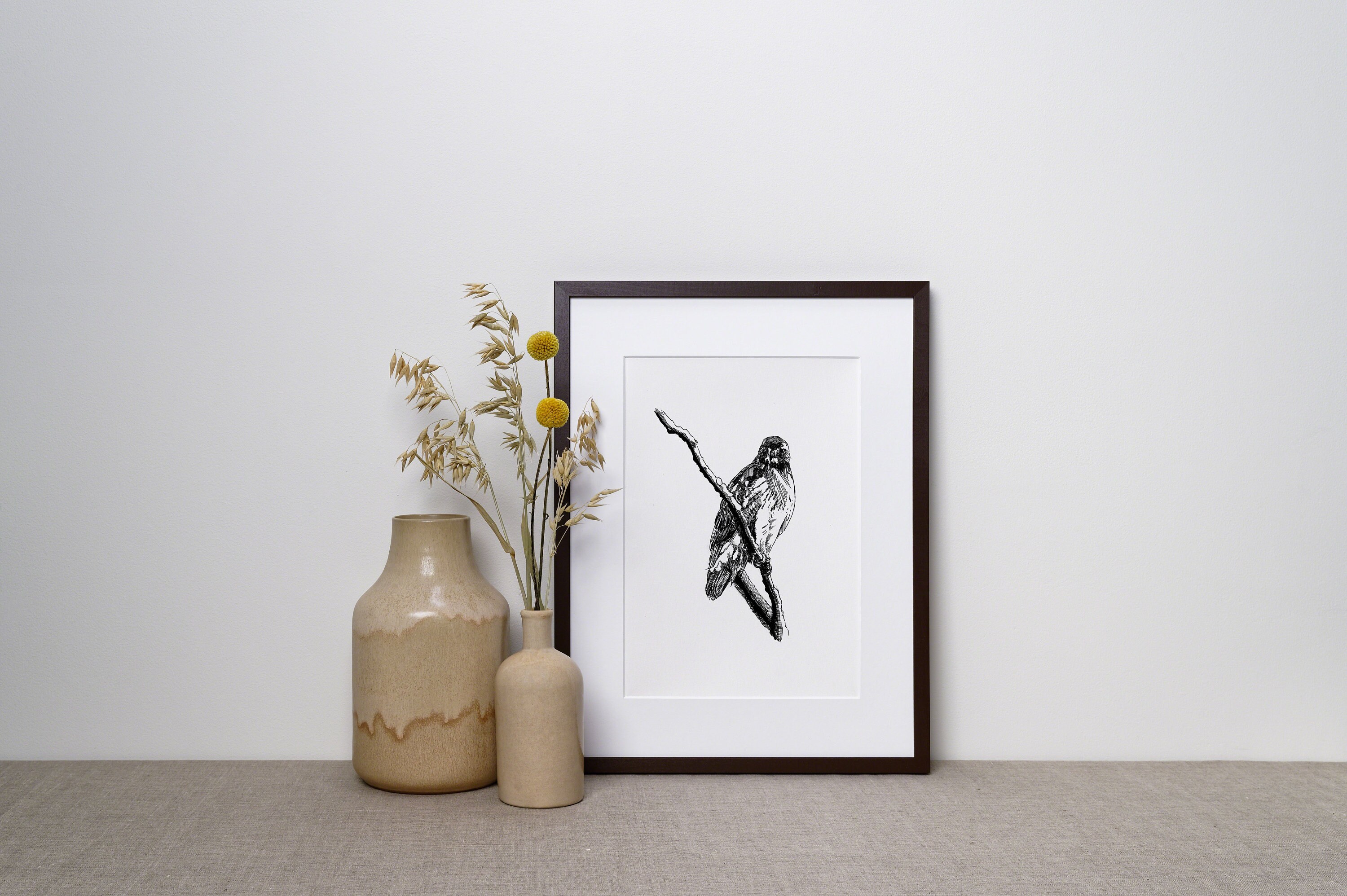 Hawk | Animal Drawing Wall Art | Art of Zoo | Animal Art Print ...