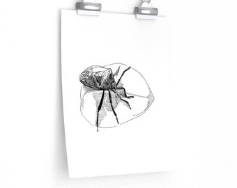 Stink Bug Art Print - Etsy