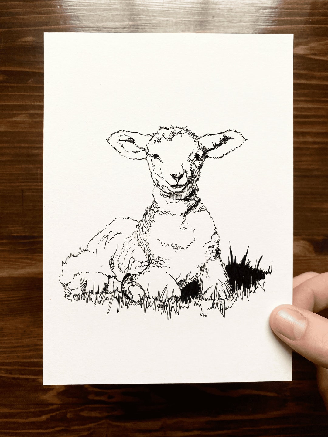 Lamb | Animal Drawing Wall Art | Art of Zoo | Animal Art Print ...