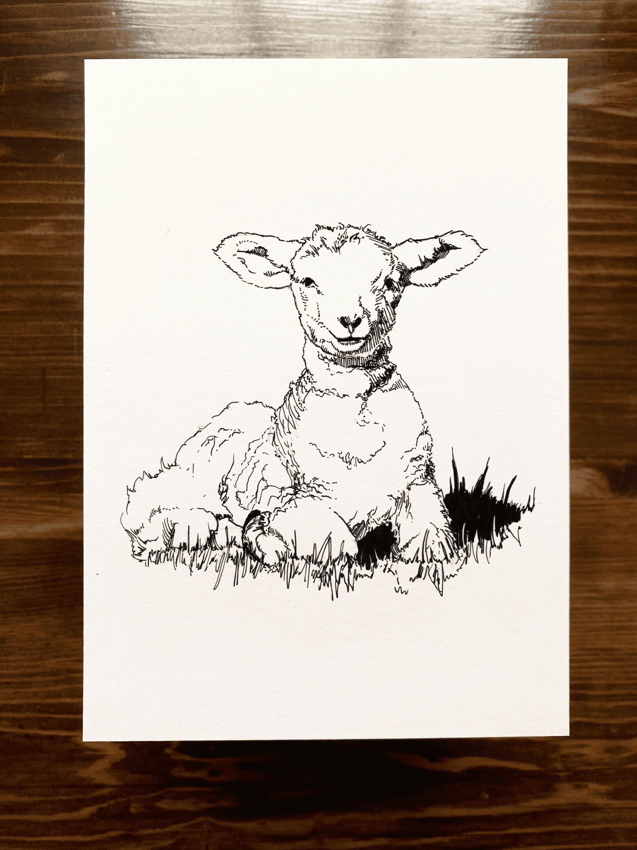 Lamb | Animal Drawing Wall Art | Art of Zoo | Animal Art Print ...