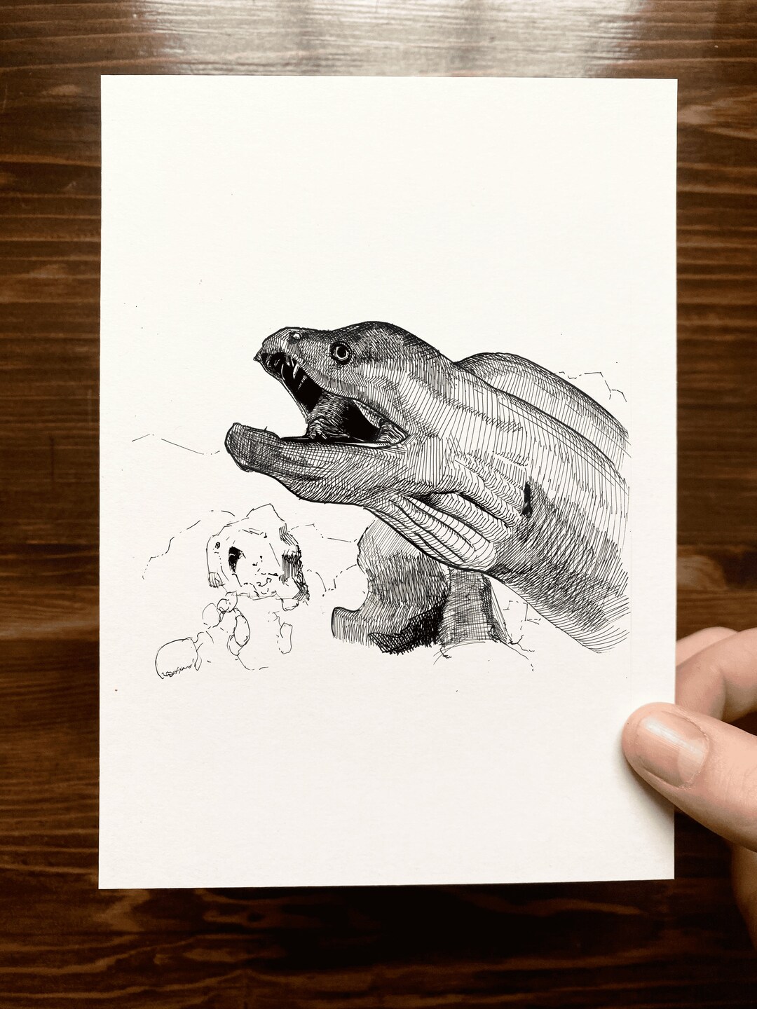Moray Eel | Animal Drawing Wall Art | Art of Zoo | Animal Art Print ...