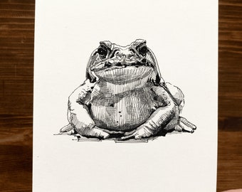 Fat Little Frog Sketch Drawing Illustration 8.5 X 11 Black - Etsy