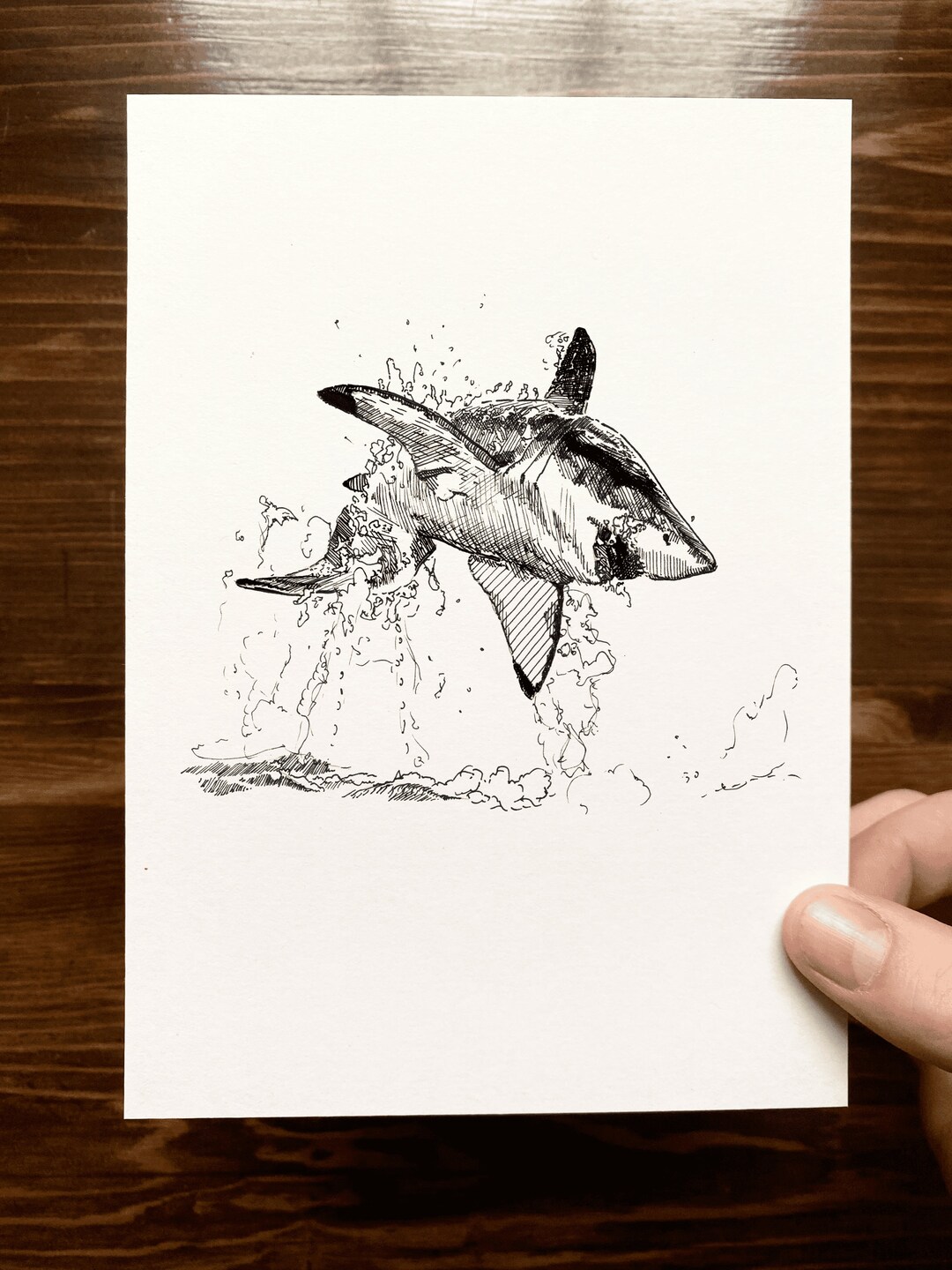 Great White Shark Animal Drawing Wall Art Art of Zoo Animal Art Print ...
