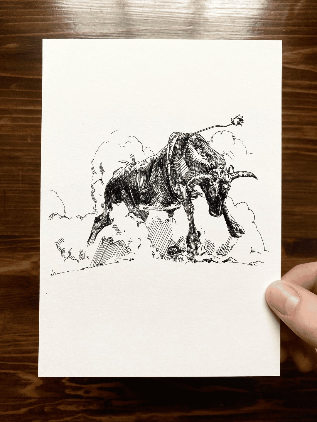 Bull Animal Drawing Wall Art Art of Zoo Animal Art Print Various Sizes ...