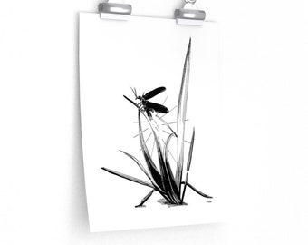 Firefly Art Print - Etsy